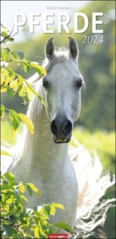 Pferde Kalender 2024 - Ceny i opinie - Ceneo.pl