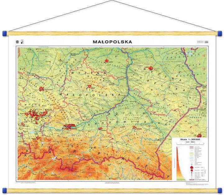 Mapa ścienna Małopolska. Mapa Regionalna Ogólnogeograficzna/Kra - Ceny ...