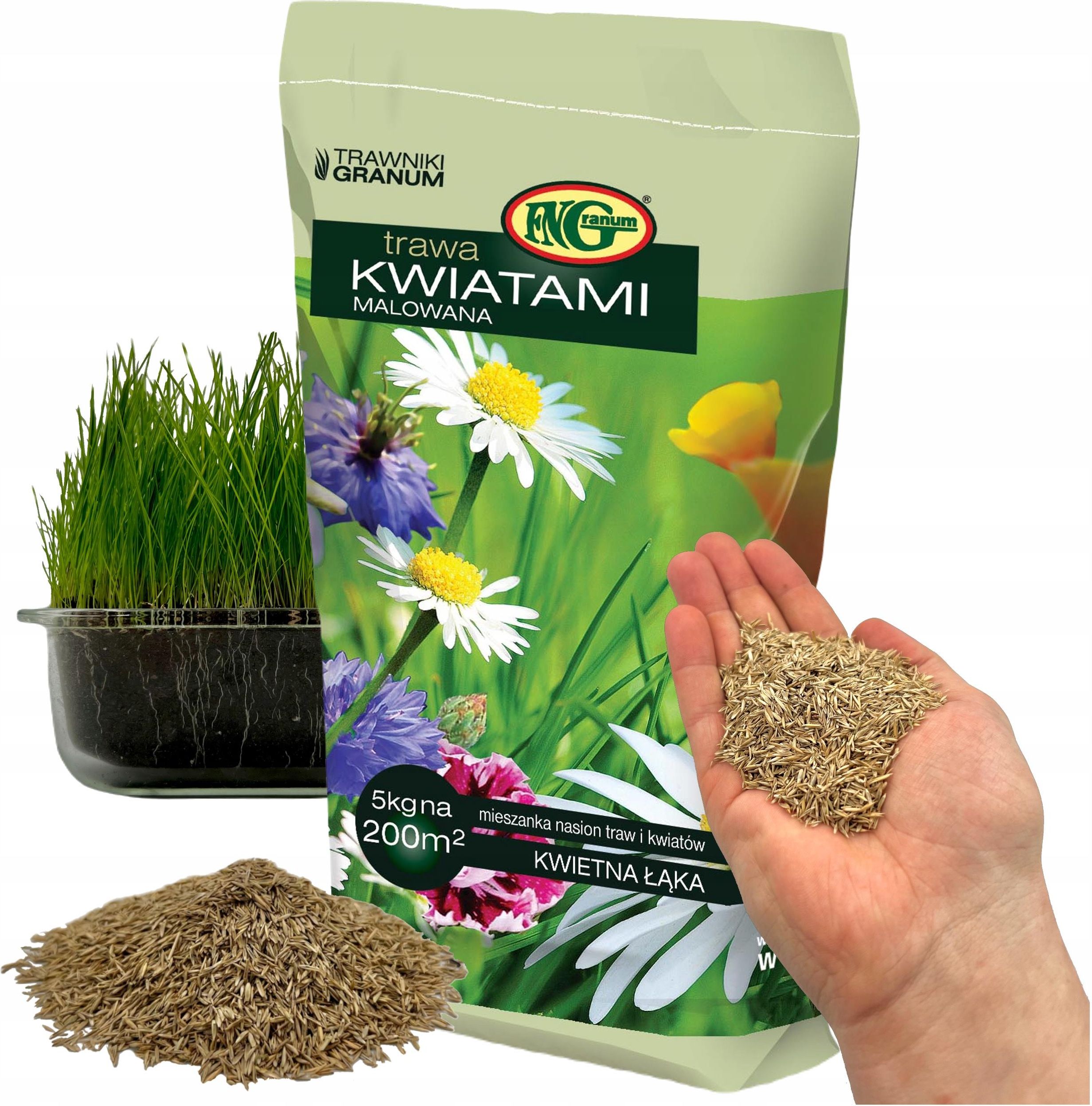 Granum Łąka Kwietna Trawnik Kwiatowy 5kg Mix Miododajne - Ceny i opinie ...