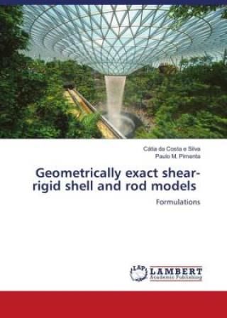 Geometrically exact shear-rigid shell and rod models - Literatura ...