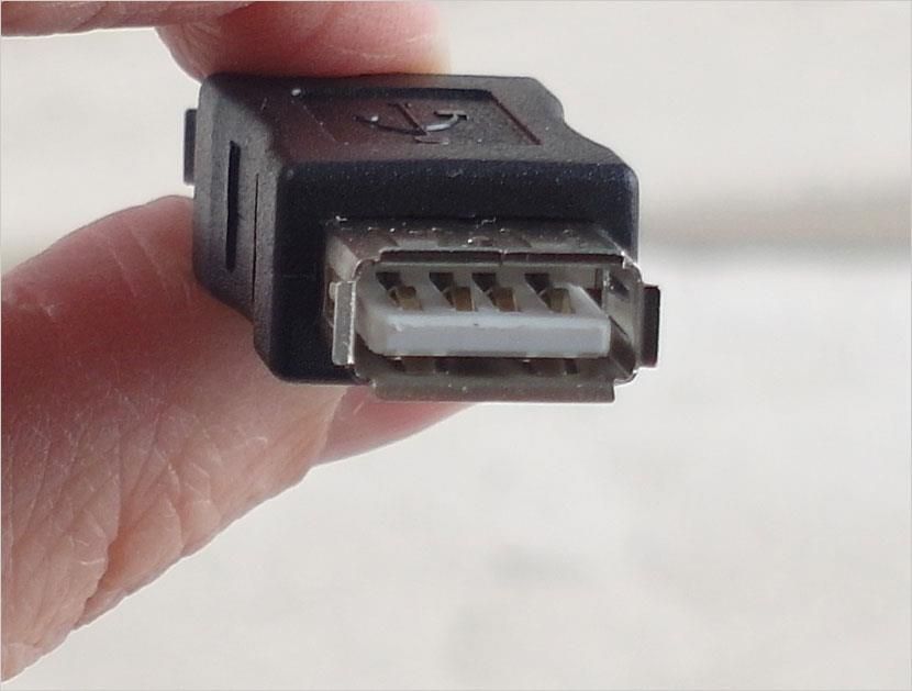 Dolaccessories Adapter złącze Usb gniazdo A gniazdo A łącznik - Opinie ...