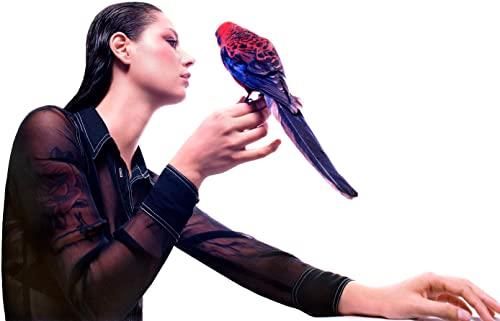 Płyta kompaktowa Grace Cummings - Storm Queen (CD) - Ceny i opinie ...