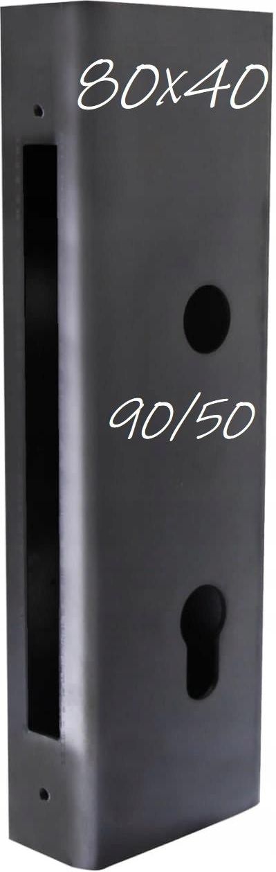 Steelfence Puszka Kaseta Obudowa Do Zamka 90X50 Furtki PUSZKA80X40 ...