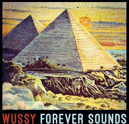 Płyta kompaktowa Wussy - Forever Sounds (CD) - Ceny i opinie - Ceneo.pl