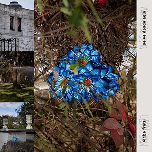 Płyta kompaktowa Se Ve Desde Aqui (CD) - Ceny i opinie - Ceneo.pl