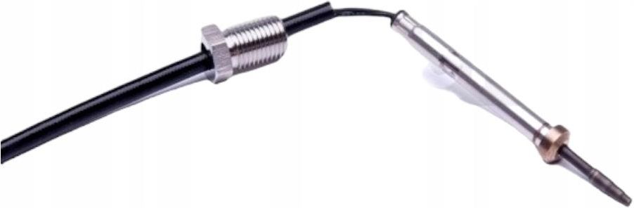 Esen Skv Czujnik Temp Spalin Do Renault Trafic Iii 16 Dci - Opinie i ...