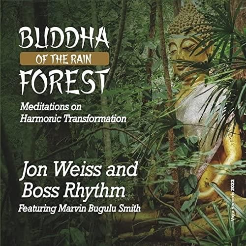 Płyta kompaktowa Jon Weiss - Buddha Of The Rainforest (CD) - Ceny i ...