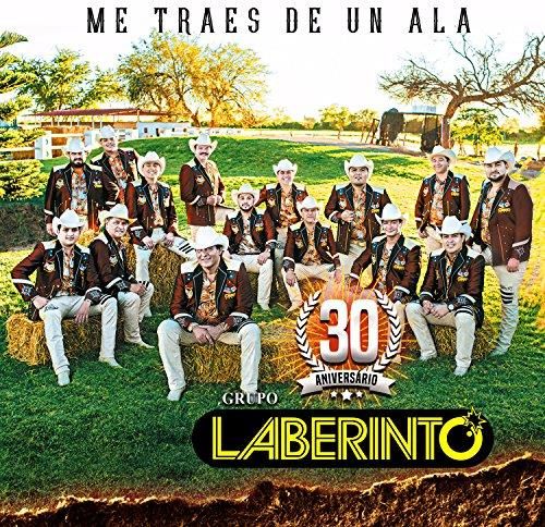 Płyta kompaktowa Grupo Laberinto - Me Traes De Un Ala (CD) - Ceny i opinie - Ceneo.pl