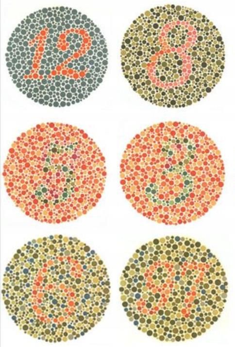 Test Ishihara 24 Tablice Widzenie Barwne, 2022 R. - ceny i opinie ...