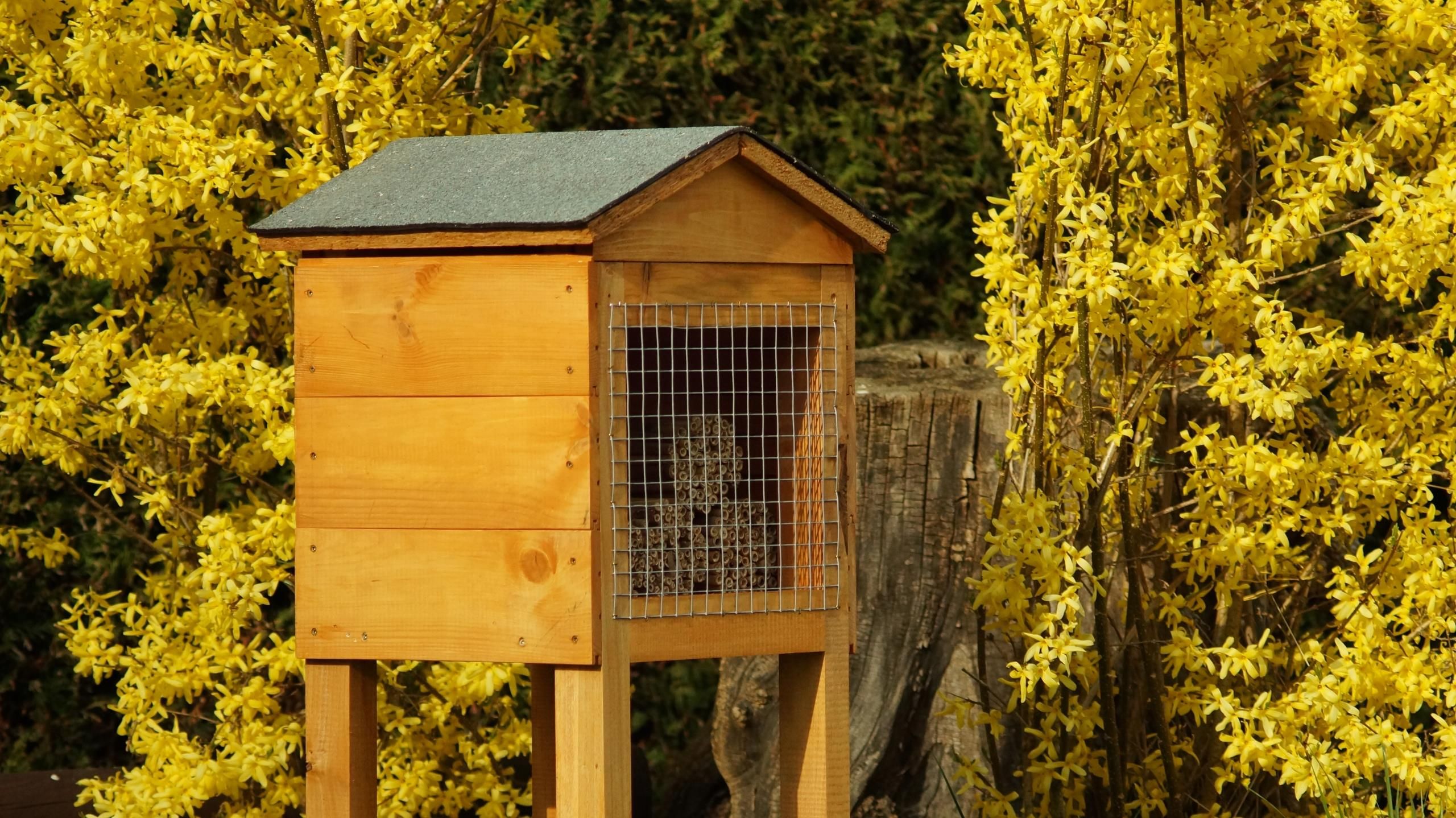 Do hodowli zwierząt Ul Murarka Ogrodowa Rurki Trzcinowe Ozdoba Ogrodu ...