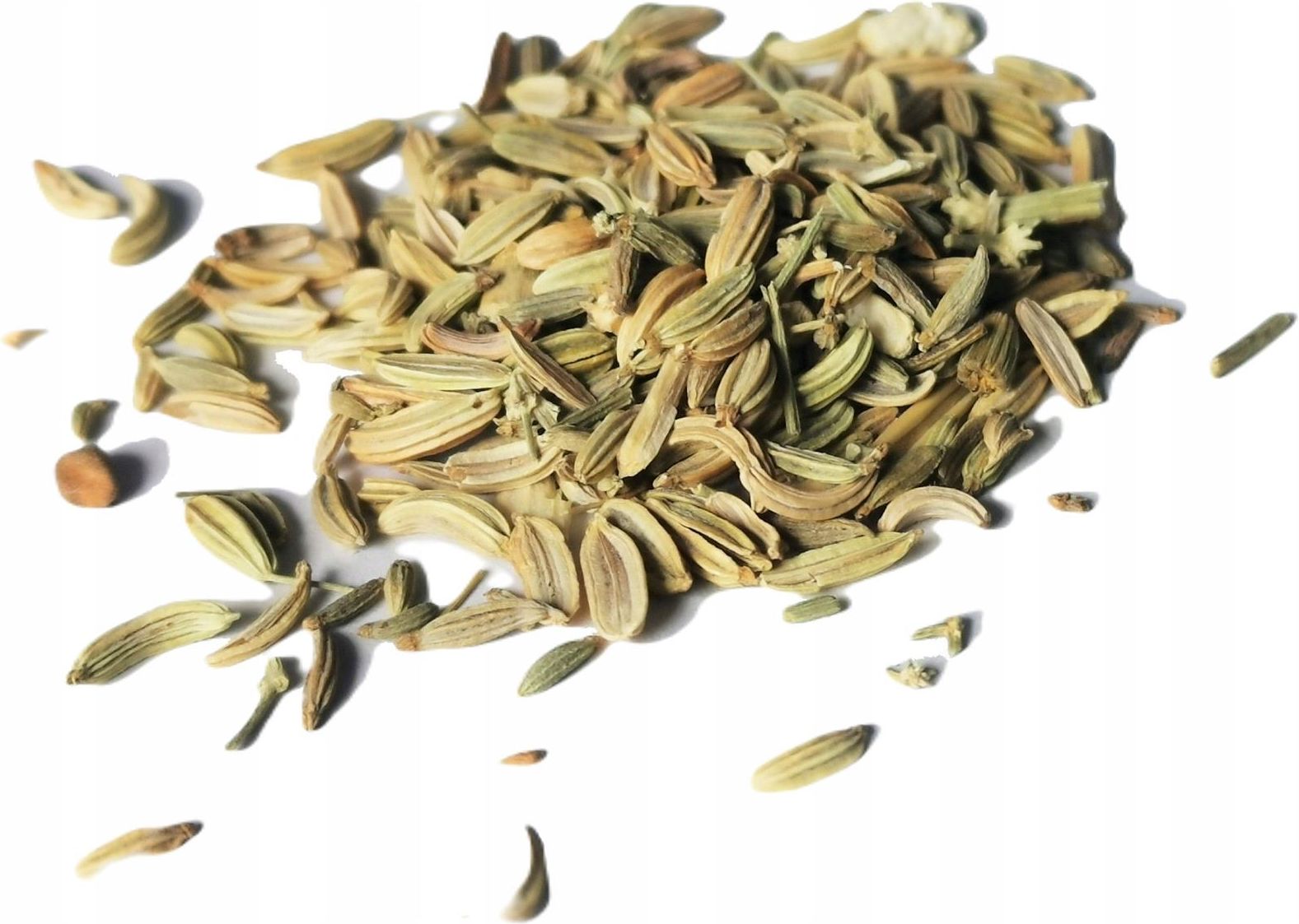 Zioła Z Kurpi Koper Włoski Nasiona Fenkuł 1Kg - Opinie i ceny na Ceneo.pl