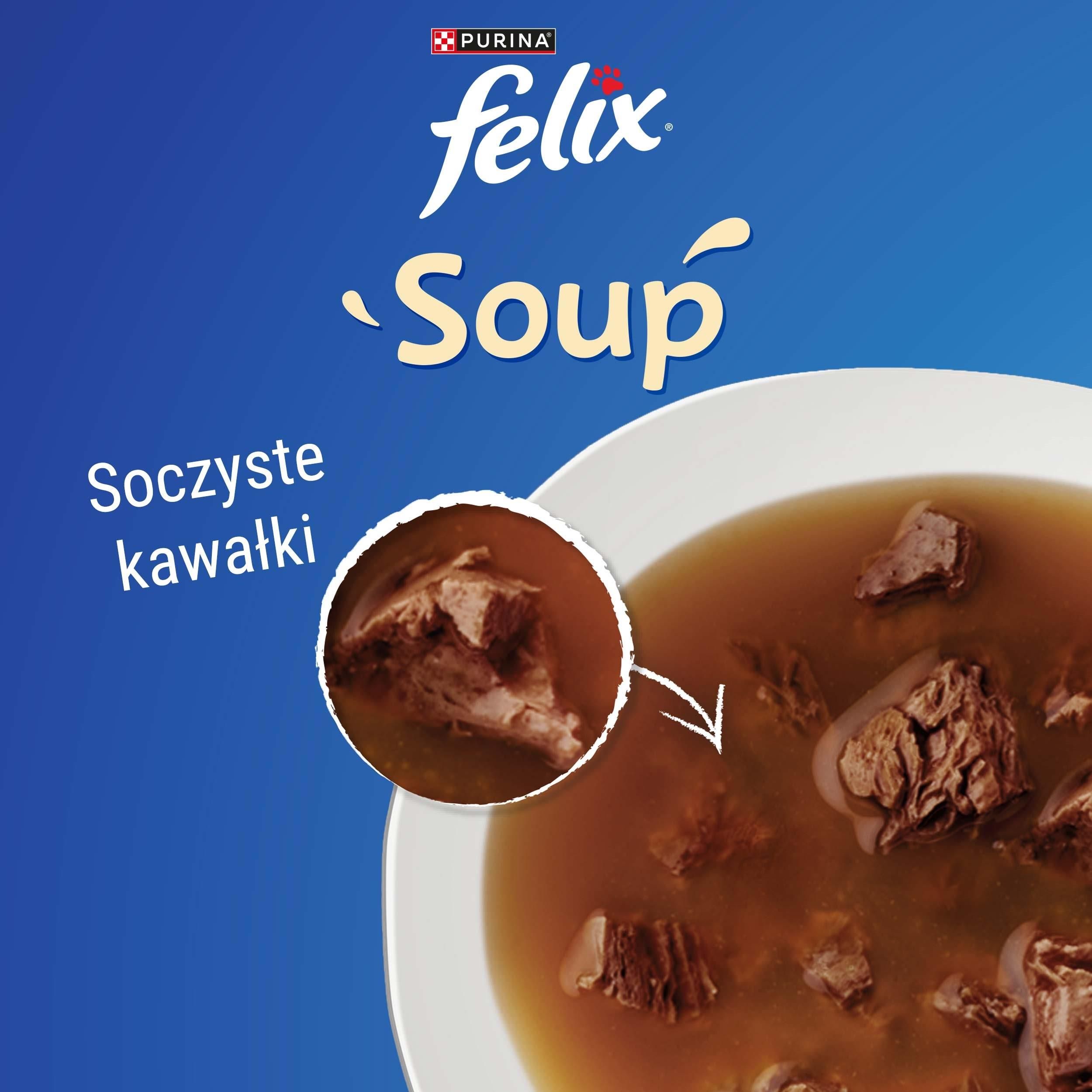 Karma FELIX Soup Original dla kota Wiejskie Smaki 24x48g - Ceny i ...