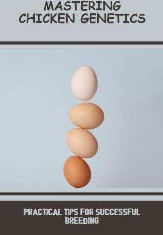 Mastering Chicken Genetics: Practical Tips For Successful Breeding ...