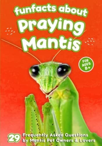 Fun Facts About Praying Mantis: 29 Frequently Asked Questions by Mantis ...