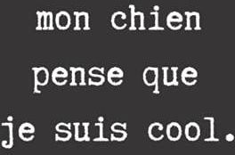 Mon chien pense que je suis cool: carnet de notes humoristique ...