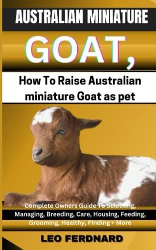 AUSTRALIAN MINIATURE GOATS, How To Raise Australian miniature Goat as ...