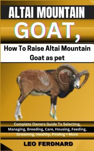 ALTAI MOUNTAIN GOATS, How To Raise Altai Mountain Goat as pet: Complete ...