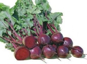 BEJO zADEN Burak Bikores (Prec.)50,000szt. - Ceny i opinie - Ceneo.pl