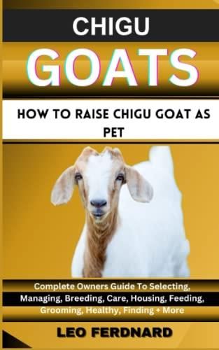 CHIGU GOATS, How To Raise Chigu Goat as pet: Complete Owners Guide To ...