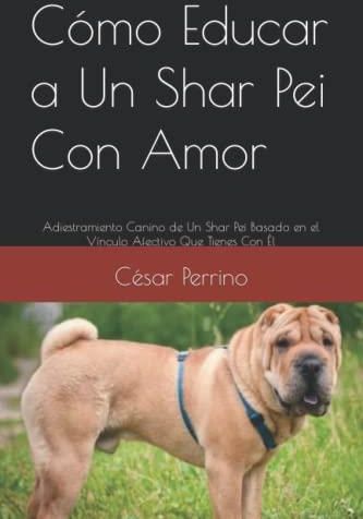 Cómo Educar a Un Shar Pei Con Amor: Adiestramiento Canino de Un Shar ...