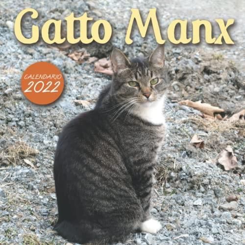 Gatto Manx Calendario 2022: Un Calendario Mensile Di 12 Mesi Gennaio A ...