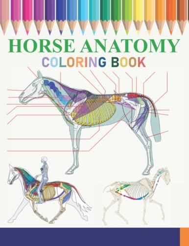 horse anatomy coloring pages
