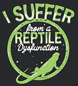 I suffer from a reptile dysfunction:: Kalendar 2020 - Literatura ...
