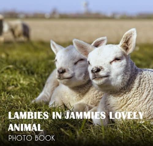 Lambies In Jammies Lovely Animal Photography Book: 2023 Photo Book Of ...