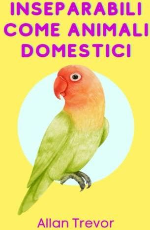 Inseparabili Come Animali Domestici: Come Crescerlo E Coccolarlo Al ...