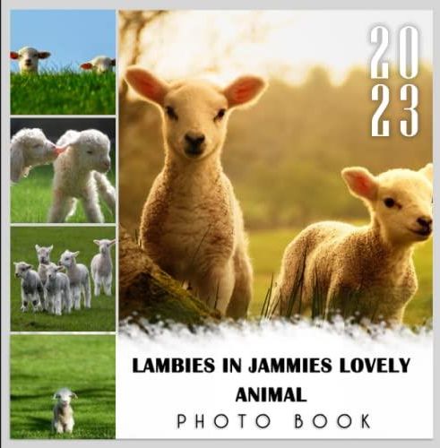 Lambies In Jammies Lovely Animal Photobook: Photo Book Of Lambies In ...
