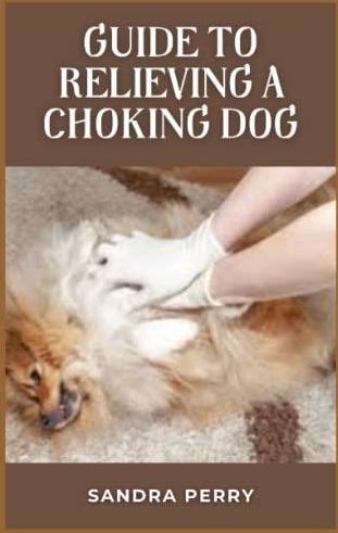 Guide to Relieving A Choking Dog: Dogs use their mouths to explore the ...