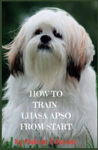 How to Train Lhasa Apso from Start - Literatura obcojęzyczna - Ceny i ...