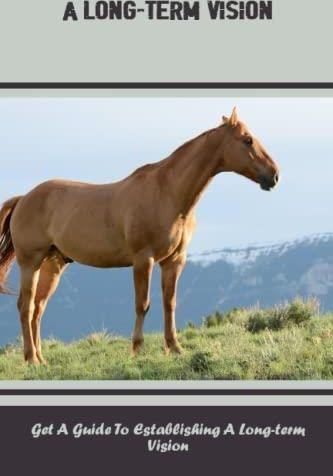 A Long-Term Vision: Get A Guide To Establishing A Long-Term Vision ...