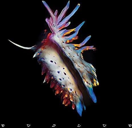 Płyta kompaktowa Sub Focus: Evolve [CD] - Ceny i opinie - Ceneo.pl