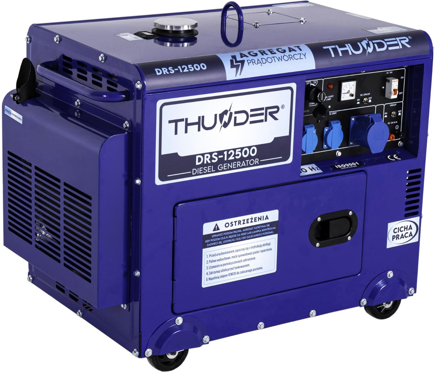 Generator prądu AGREGAT PRĄDOTWÓRCZY THUNDER DIESEL 5,5KW DRS - Opinie ...