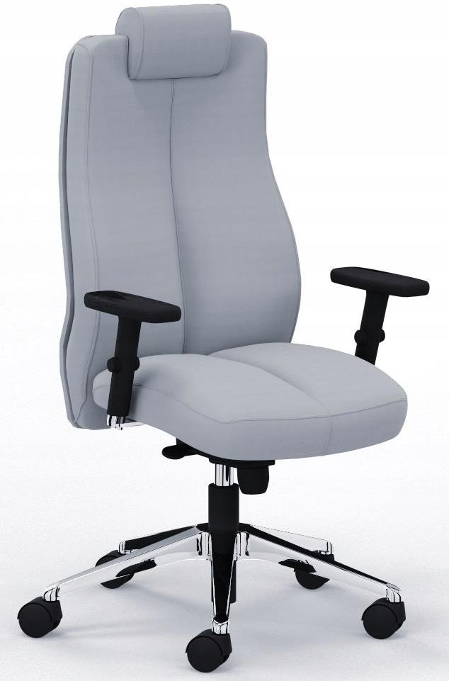 Nowy Styl Fotel Sonata Lux Hrua Es Skóra Nat Sp03 Szary Ns - Opinie i ...