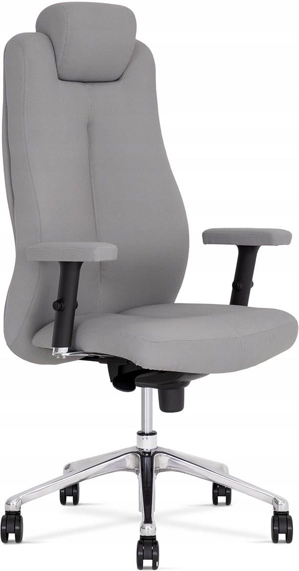 Nowy Styl Fotel Sonata Lux Hrua Es Skóra Nat Sp03 Szary Ns - Opinie i ...