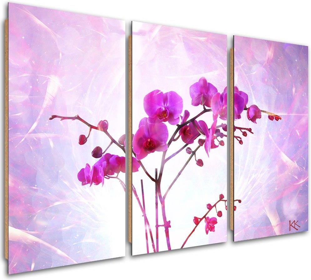 Feeby Obraz Trzyczęściowy Deco Panel Eteryczna Orchidea 120X80 703860 - Opinie i atrakcyjne ceny ...