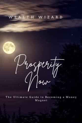 PROSPERITY NOW: The Ultimate Guide to Becoming a Money Magnet ...