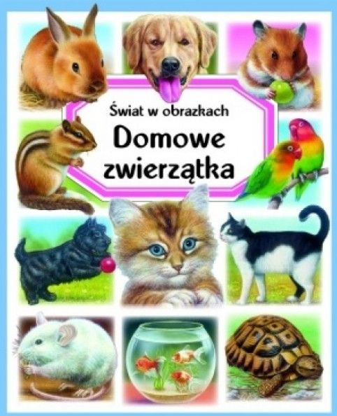 Domowe zwierzątka. świat w obrazkach - ceny i opinie - Ceneo.pl