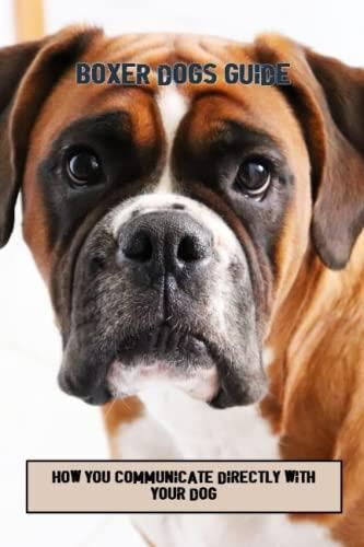 Boxer Dogs Guide: How You Communicate Directly With Your Dog ...