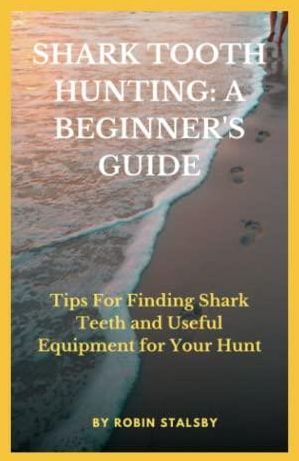 SHARK TOOTH HUNTING: A BEGINNER'S GUIDE: Tips For Finding Shark Teeth ...