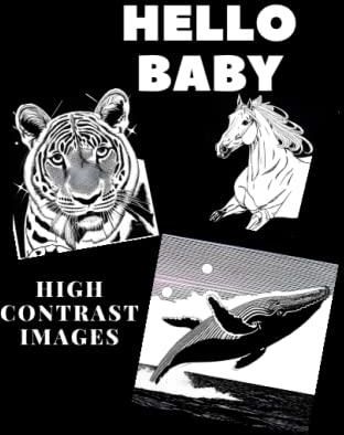 Hello Baby.High Contrast Images.: Boost Your Baby's Brain Development ...