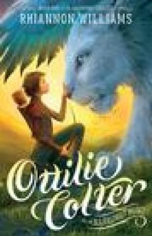 Ottilie Colter and the Narroway Hunt: Volume 1 - Literatura ...