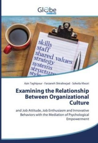 Examining the Relationship Between Organizational Culture - Literatura obcojęzyczna - Ceny i ...