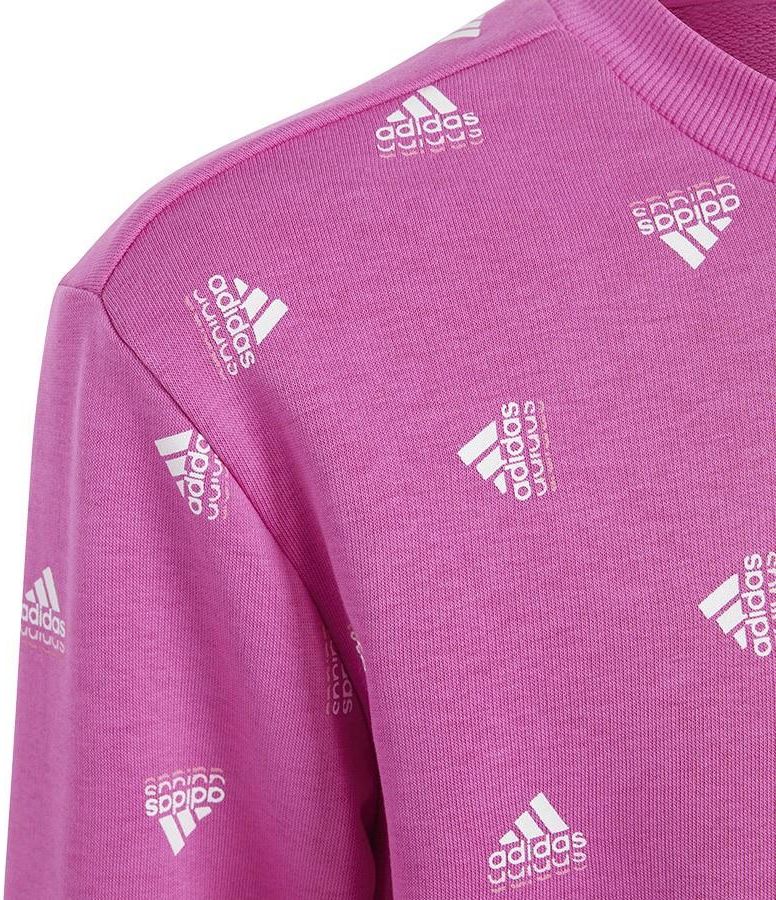 Bluza adidas BLUV SWT girls IC5573 : Rozmiar - 164 cm - Ceny i opinie ...
