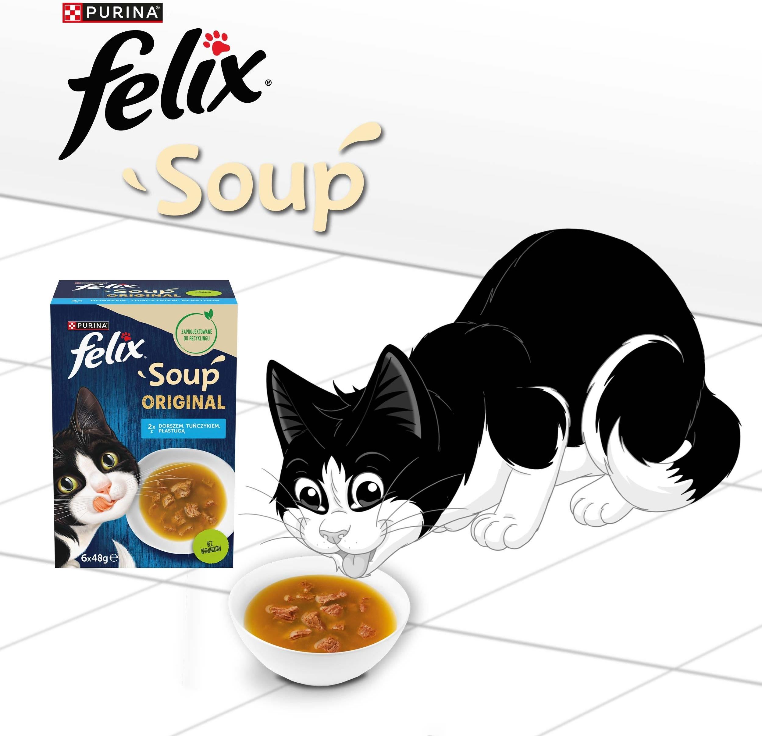 Karma FELIX Soup Original dla kota Rybne Smaki 6x48g - Ceny i opinie ...