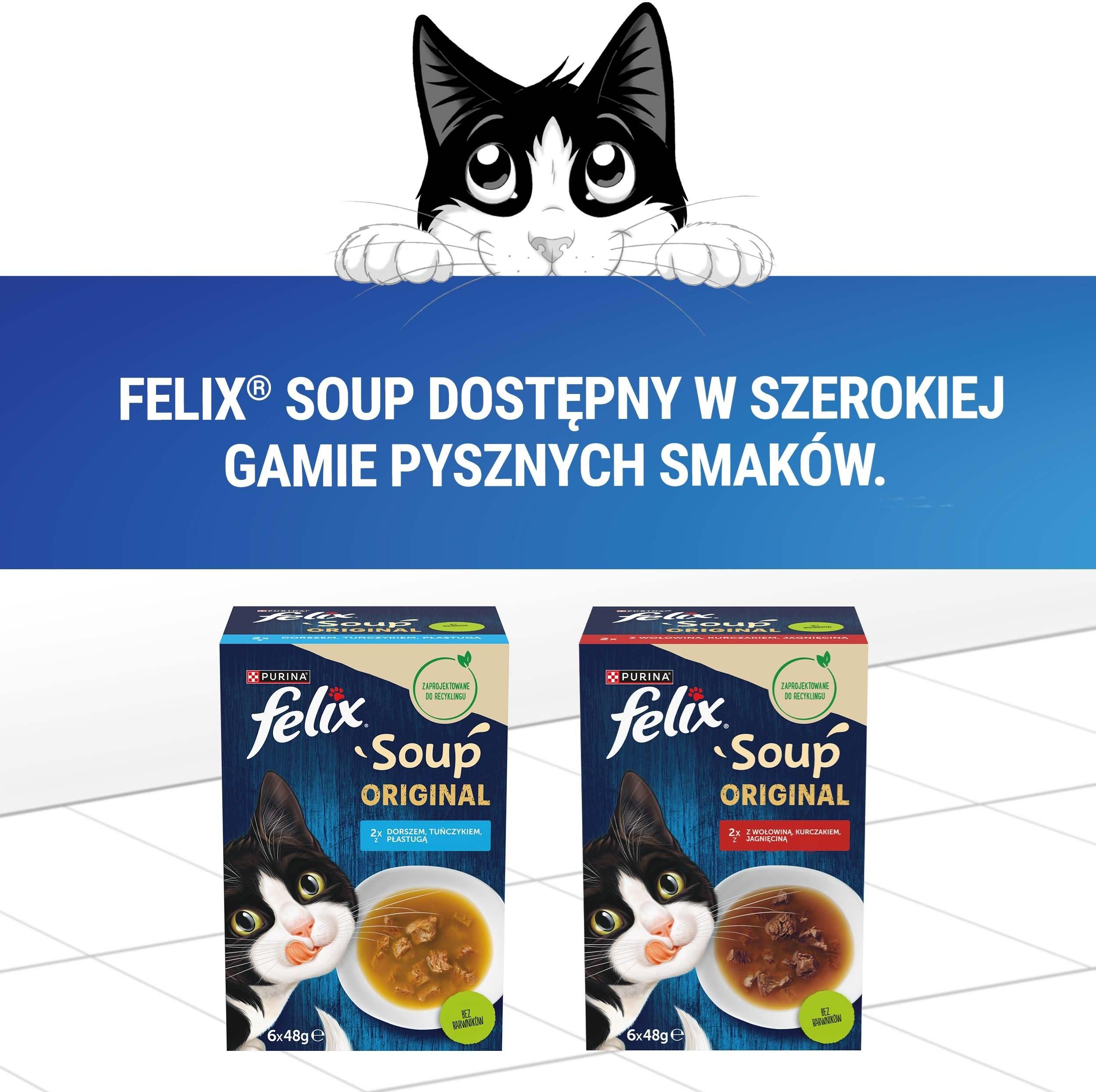 Karma FELIX Soup Original dla kota Rybne Smaki 6x48g - Ceny i opinie ...