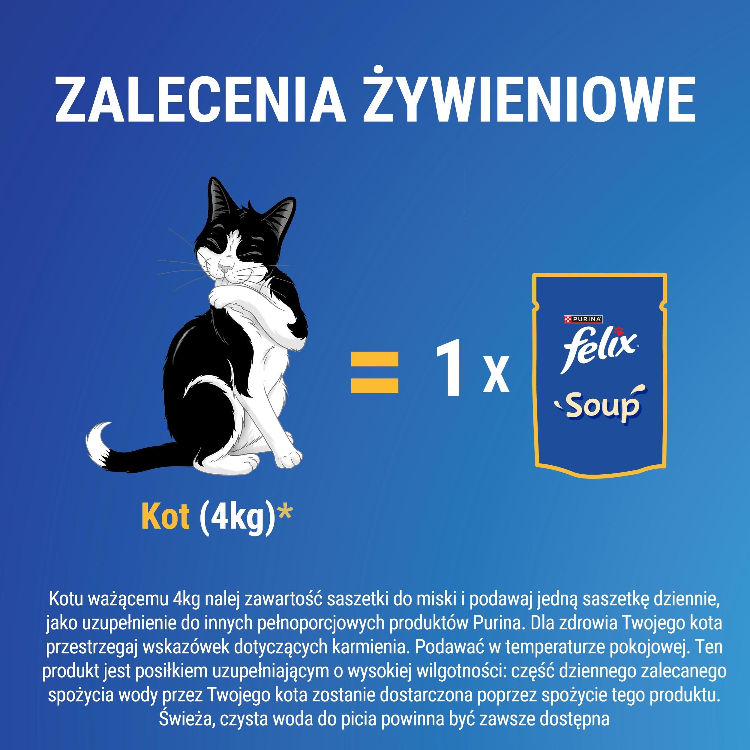 Karma FELIX Soup Original dla kota Rybne Smaki 6x48g - Ceny i opinie ...