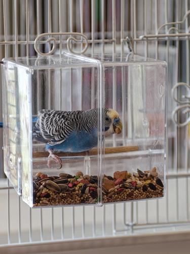 Caitec Karmnik Less Mess Mniej Bałaganu Dla Małych I Średnich Papug S ...